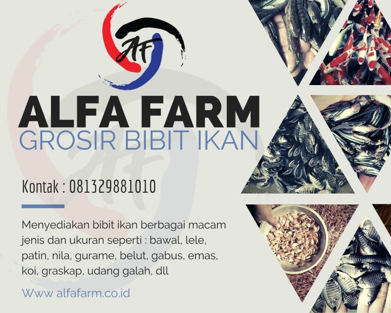 Galeri - Alfa Farm